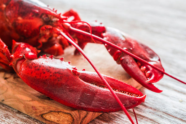 Homards cuits – Marché de poisson Lemieux